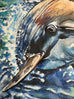 Dolphin – ArtCursor